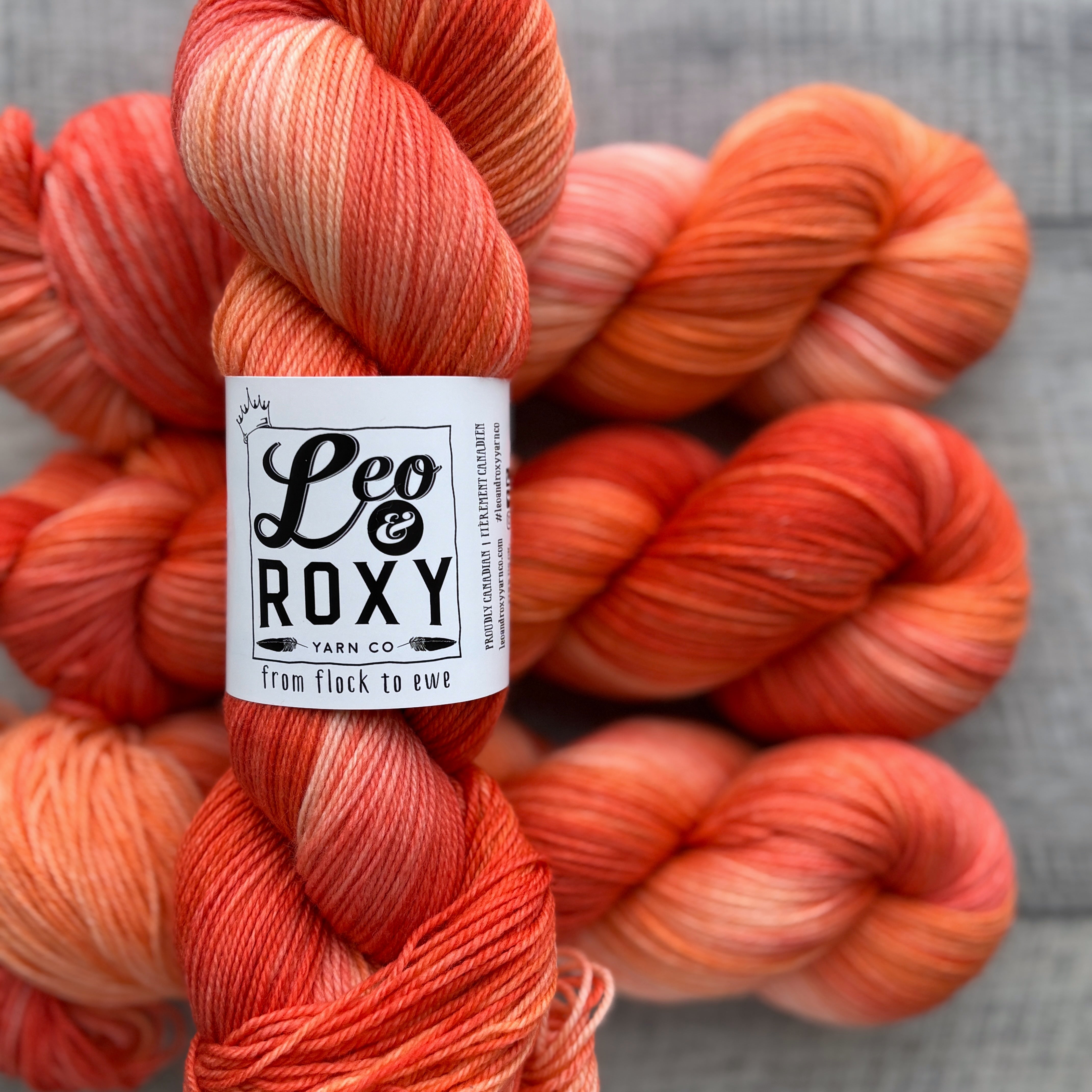 Lava Lamp on Leo & Roxy Yarn Co. Sock Yarn – Leo and Roxy Yarn Co